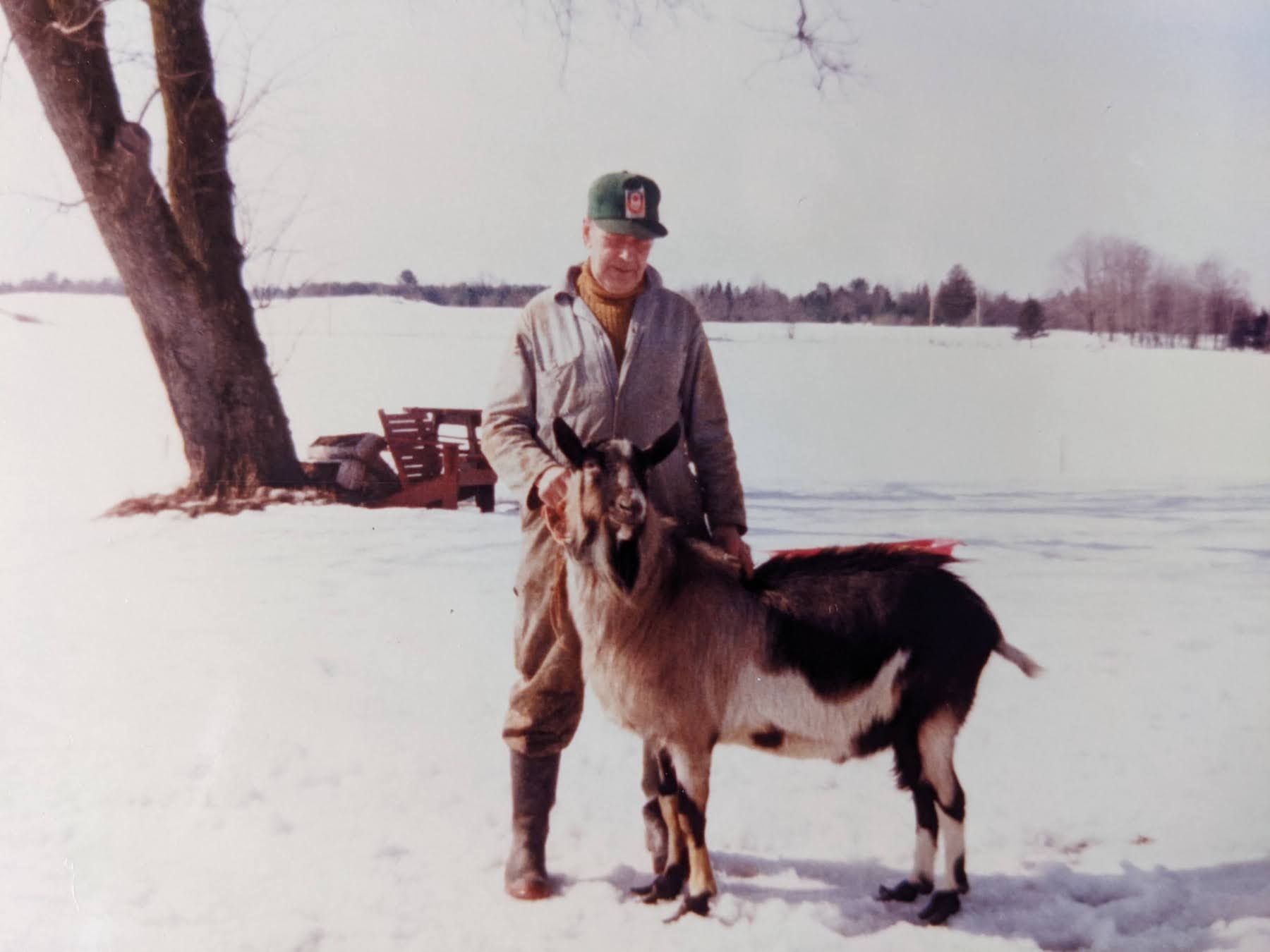 BEEZFARM – Lekovic Family Farm